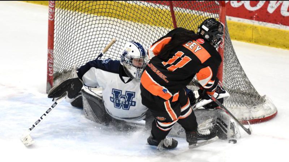 Esso Cup not coming to Prince Albert, again; Bears still playing in the ...