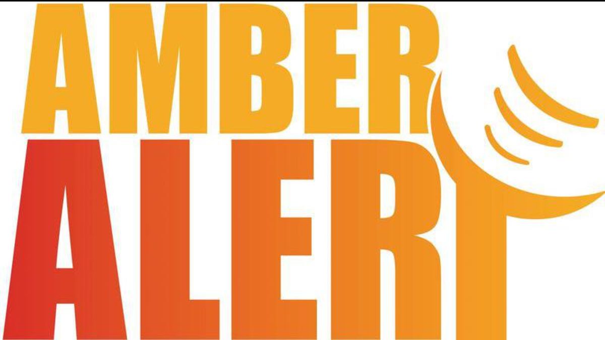 Update: Amber Alert cancelled for missing B.C. woman & children | paNOW