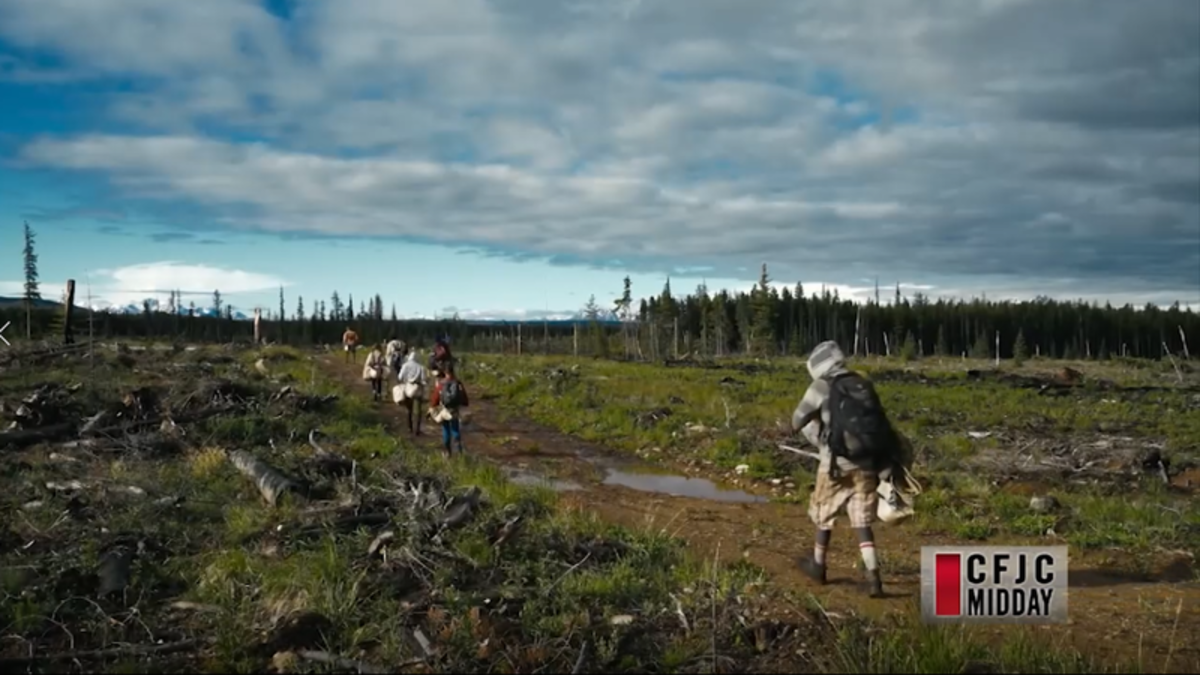 CFJC Midday – ‘Forest for the Trees’ hits the big screen at the ...