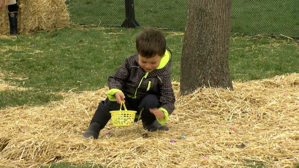 Easter Egg-citement returns to Kamloops Wildlife Park | CFJC Today Kamloops