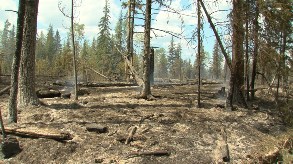 Kamloops, Merritt, local First Nations among communities to receive ...