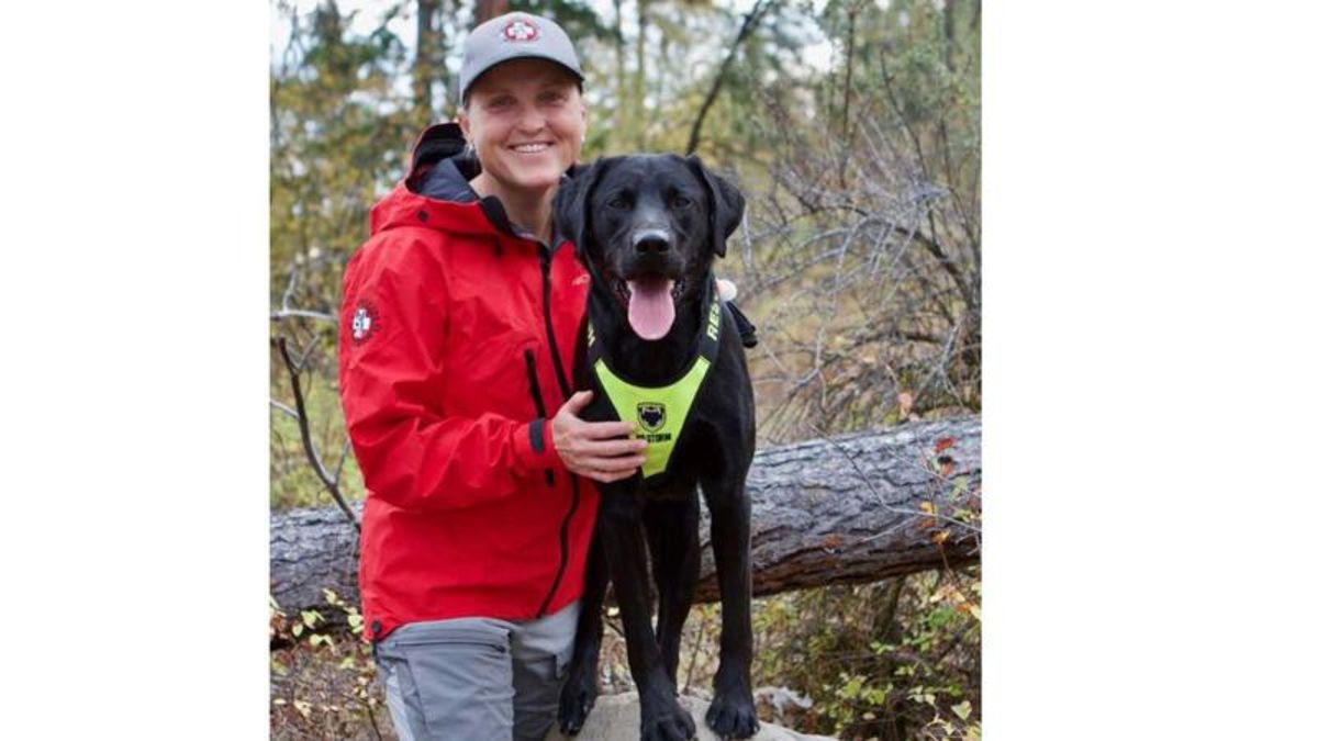 Dogs play valuable role with search and rescue teams | Vernon Matters