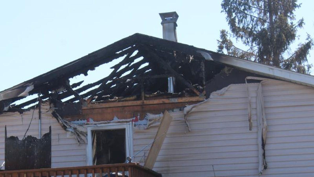 Prince Albert homeowner scrambles to rescue dog as fire guts home | paNOW