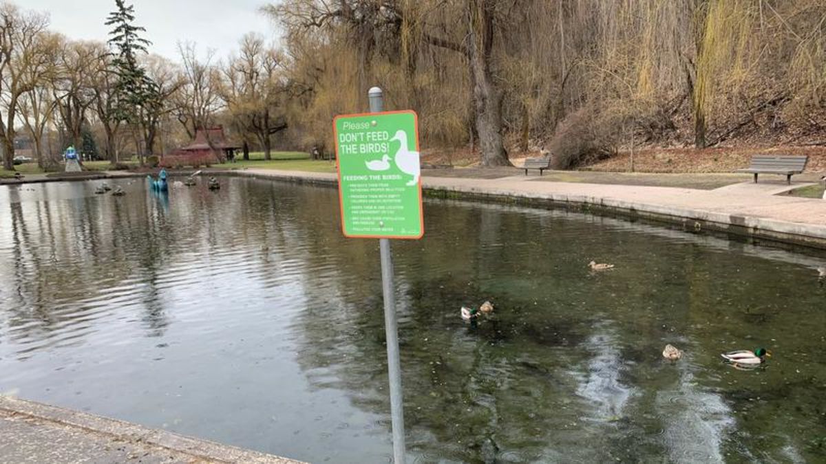 Polson Pond to be stocked with trout for return of Kids Fishing Weekend ...