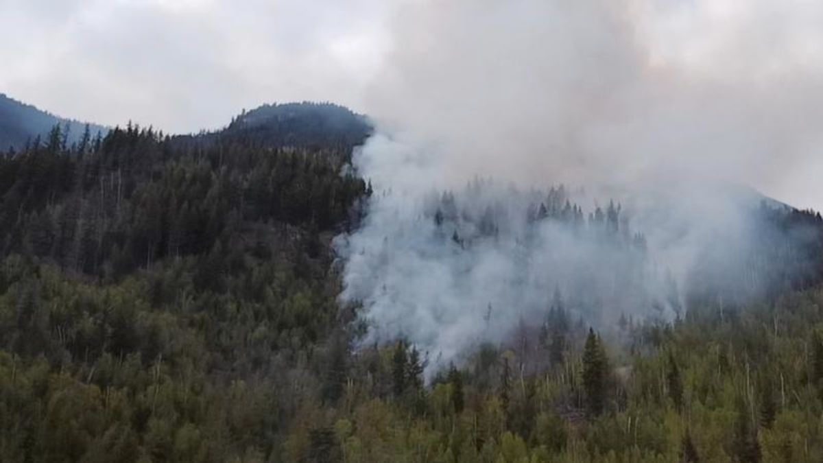 Shuswap wildfire up to 15 hectares: B.C. Wildfire Service | B100