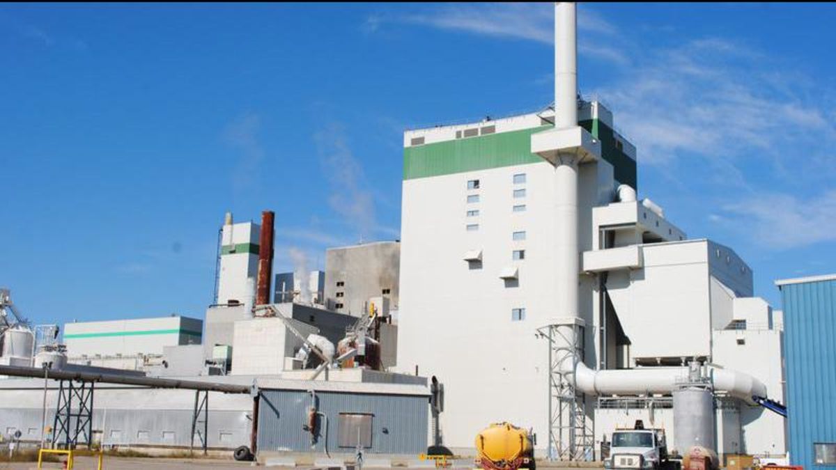 P.A. pulp mill nearly fully winterized, one step closer to restarting ...