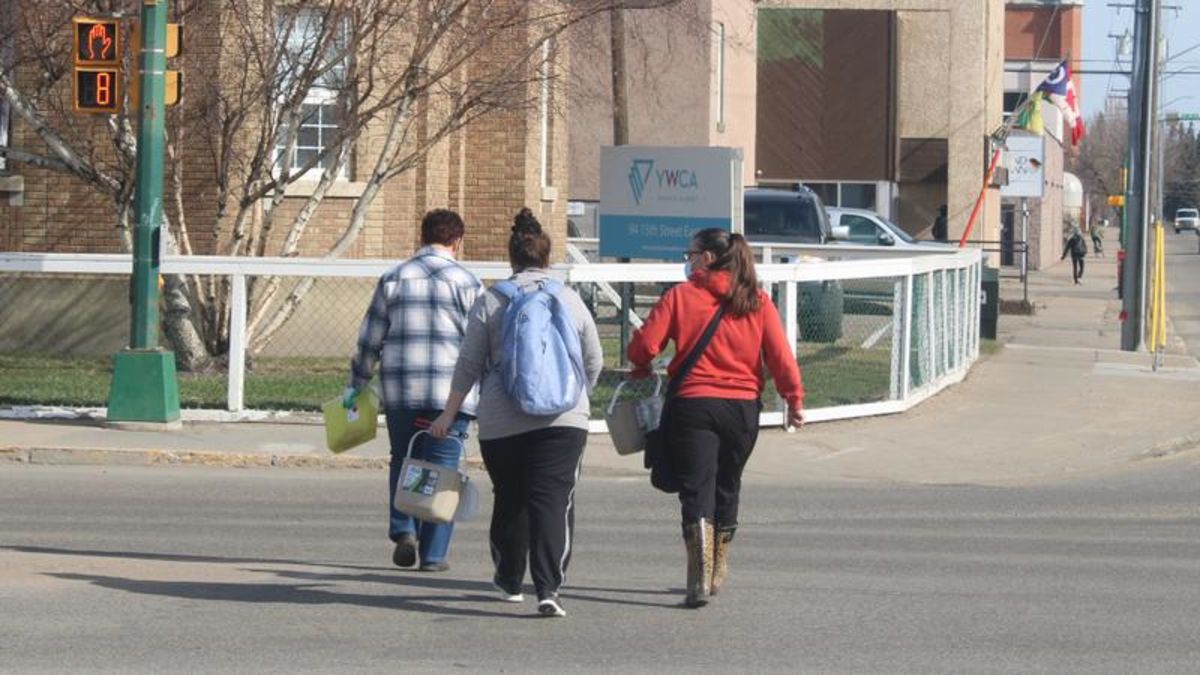 Operation needle pickup underway in Prince Albert | paNOW