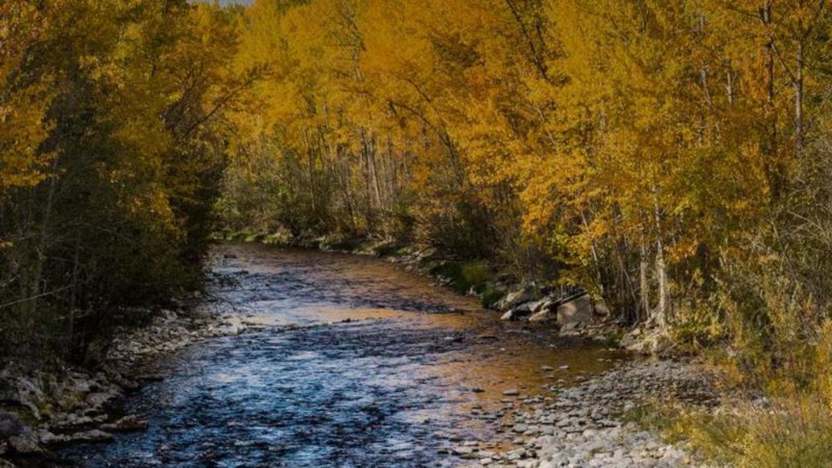 Mission Creek Greenway expansion official opening | Vernon Matters