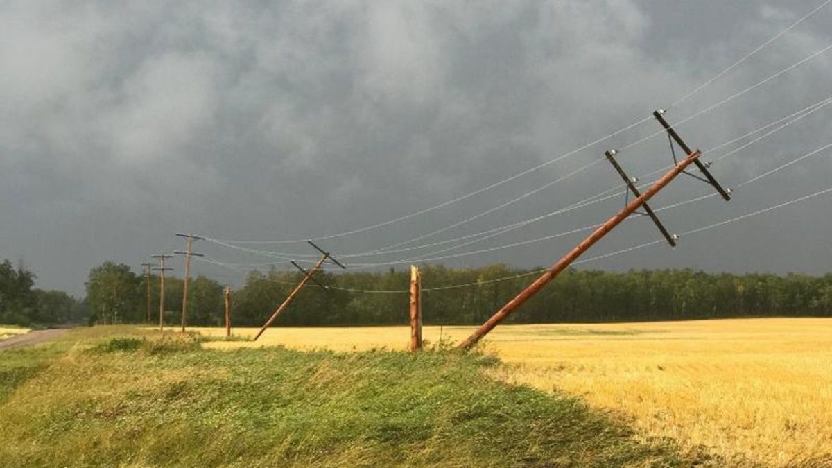 SaskPower to inspect more than 100,000 wooden poles | meadowlakeNOW