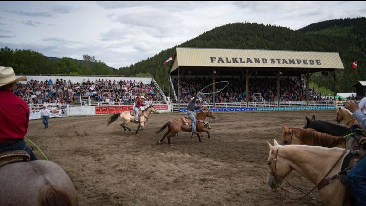 Falkland Stampede is ‘back in the saddle’ | CFJC Today Kamloops