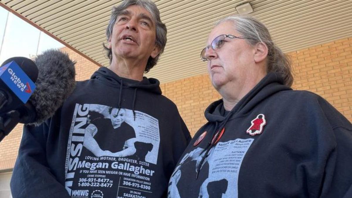 Second man accused in Megan Gallagher investigation appears in court ...