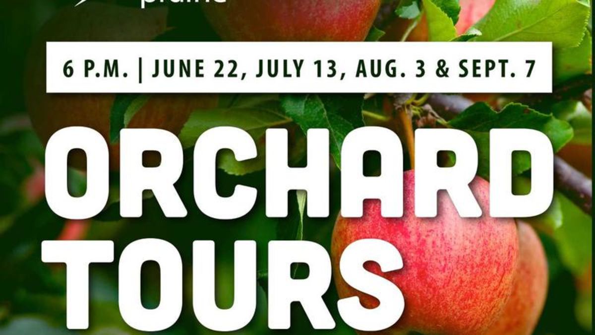 City planning orchard tours throughout the summer | EverythingGP