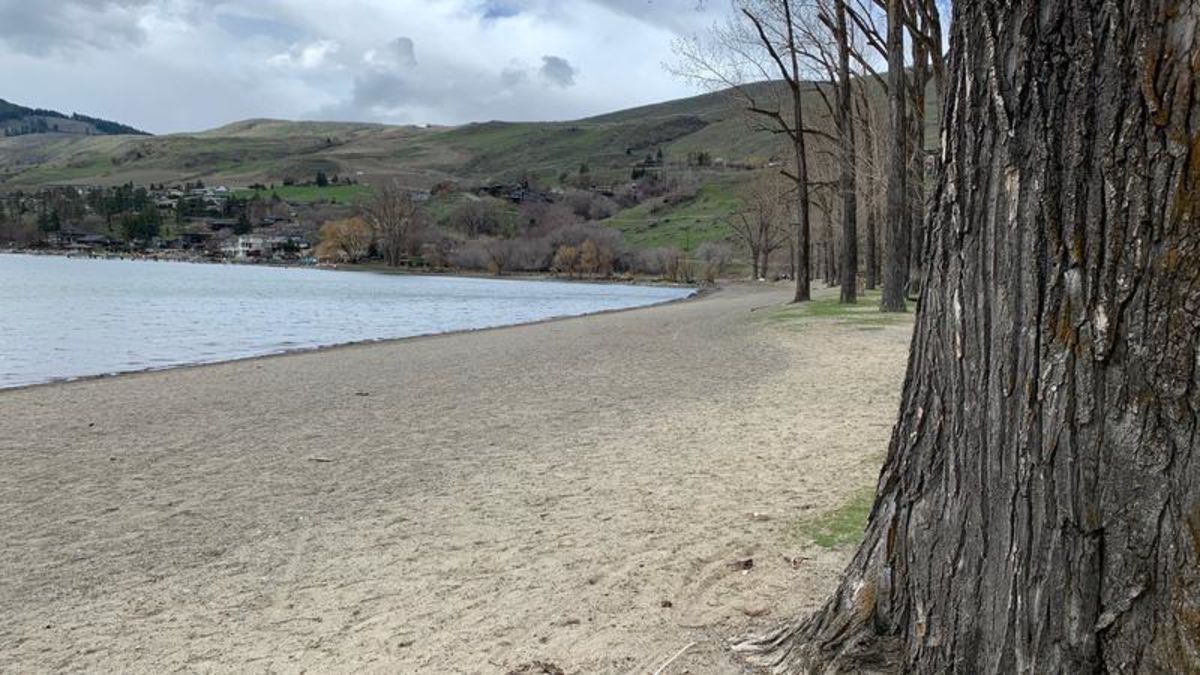 Kin Beach closed due to poor water quality | Vernon Matters