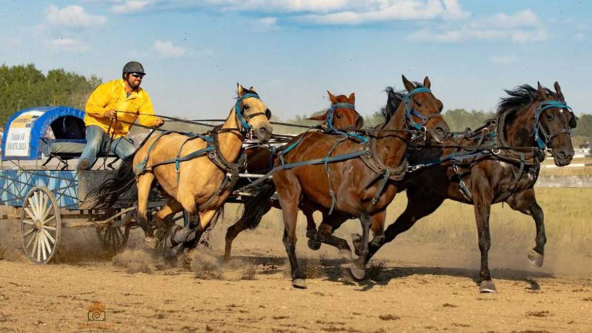 Quilly Willy Sports Days returns to Canada Day weekend | Saskatchewan's ...