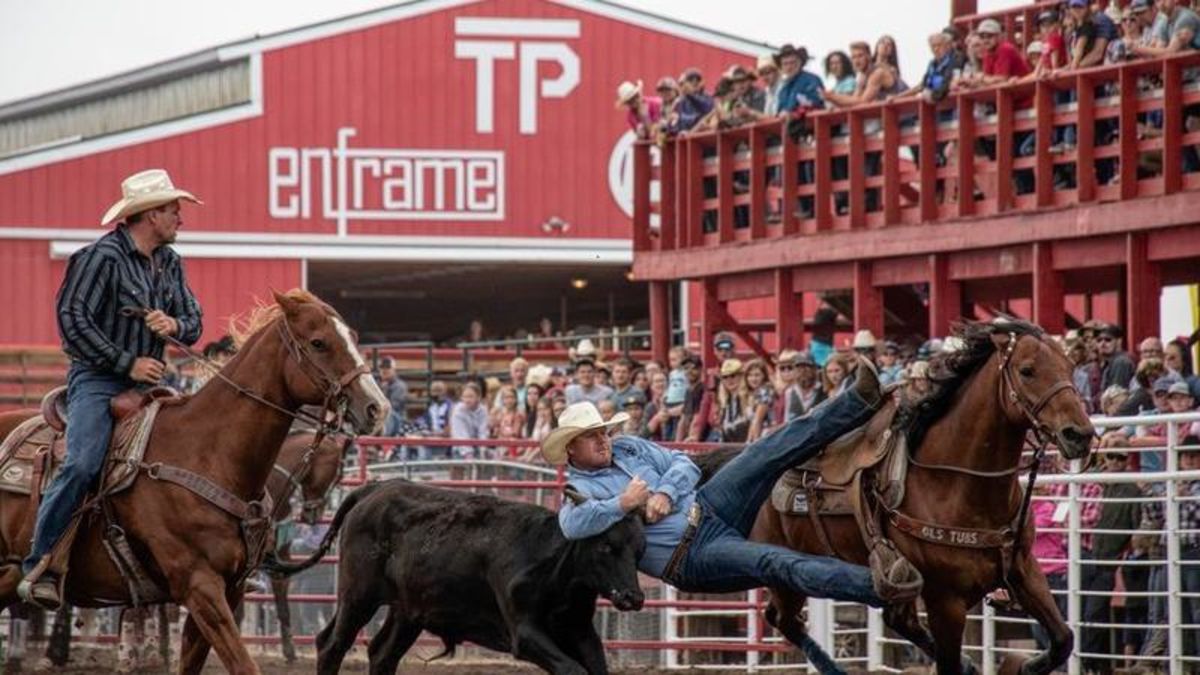 Teepee Creek Stampede president excited for 4 Days in the Wild ...