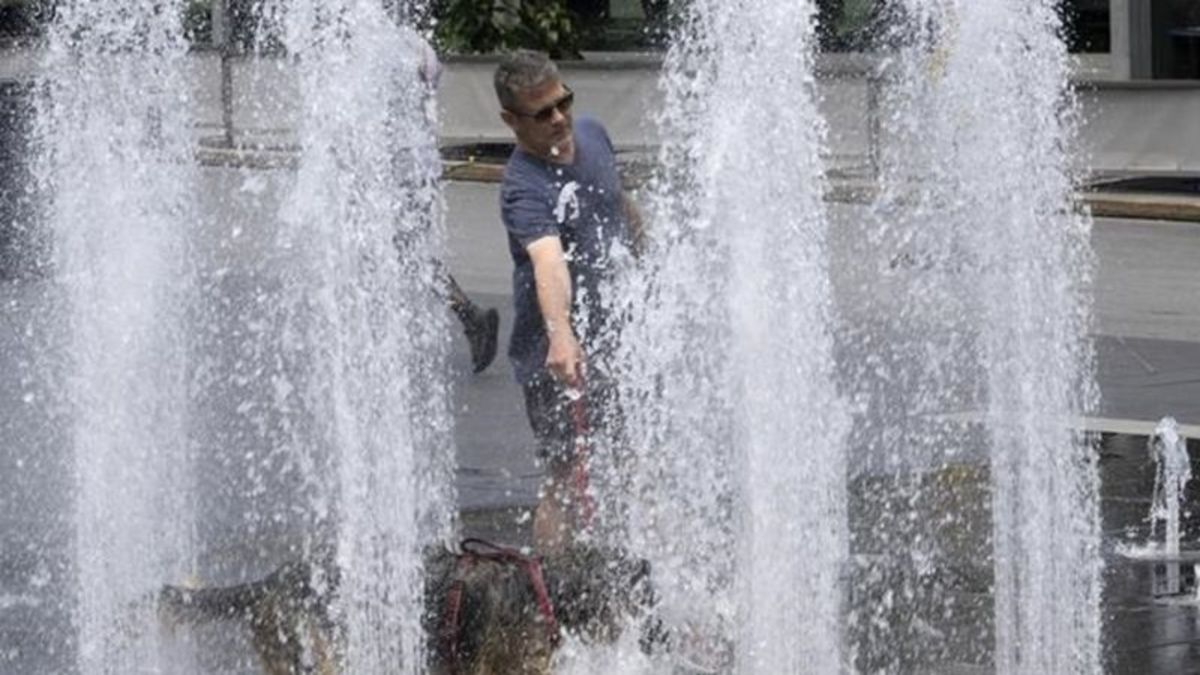 Environment Canada warning of humidex levels in the mid to high 30s ...