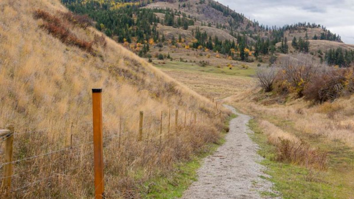 New parks naming policy | Kelowna's 103-1 Beach Radio