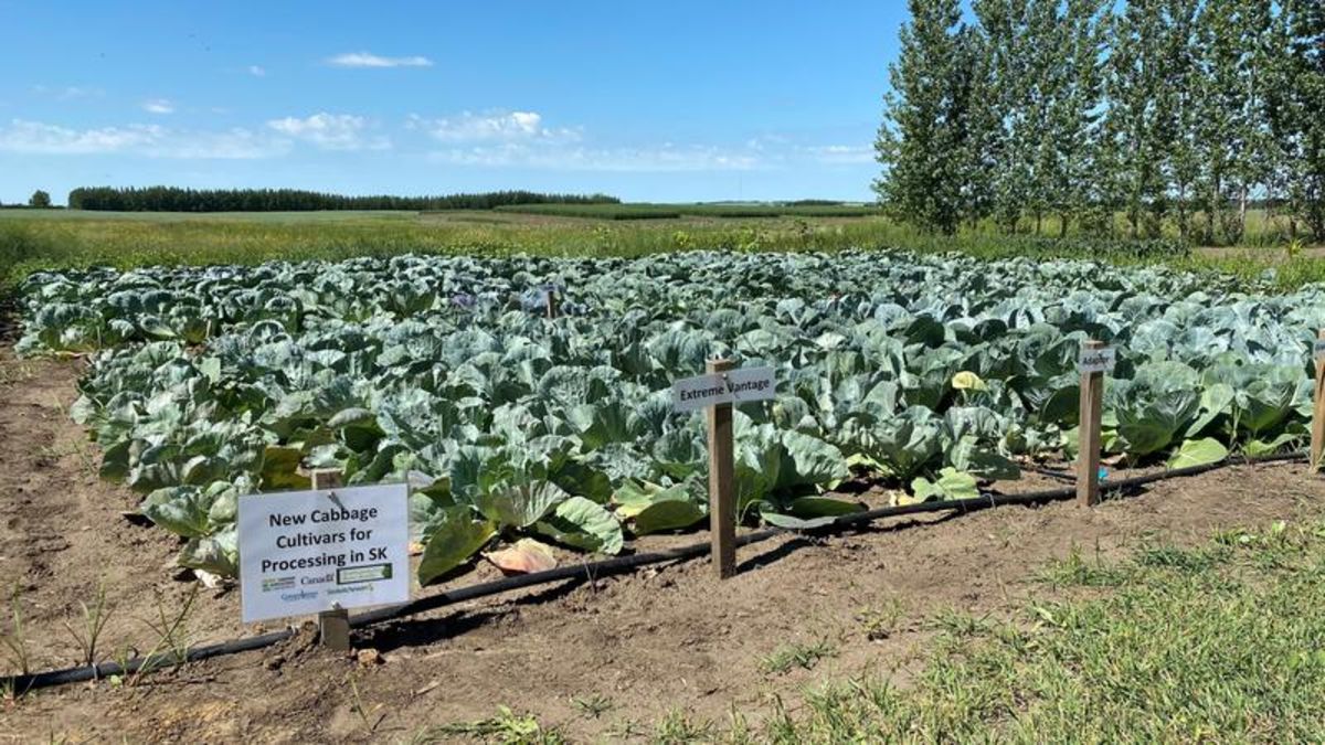 Conservation Learning Centre draws large crown for annual Field Day ...