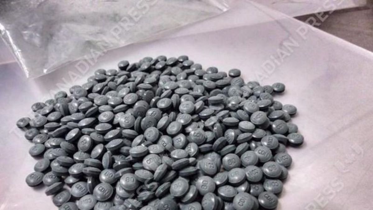 Montrealer faces life sentence after officials say his drugs killed 4 ...