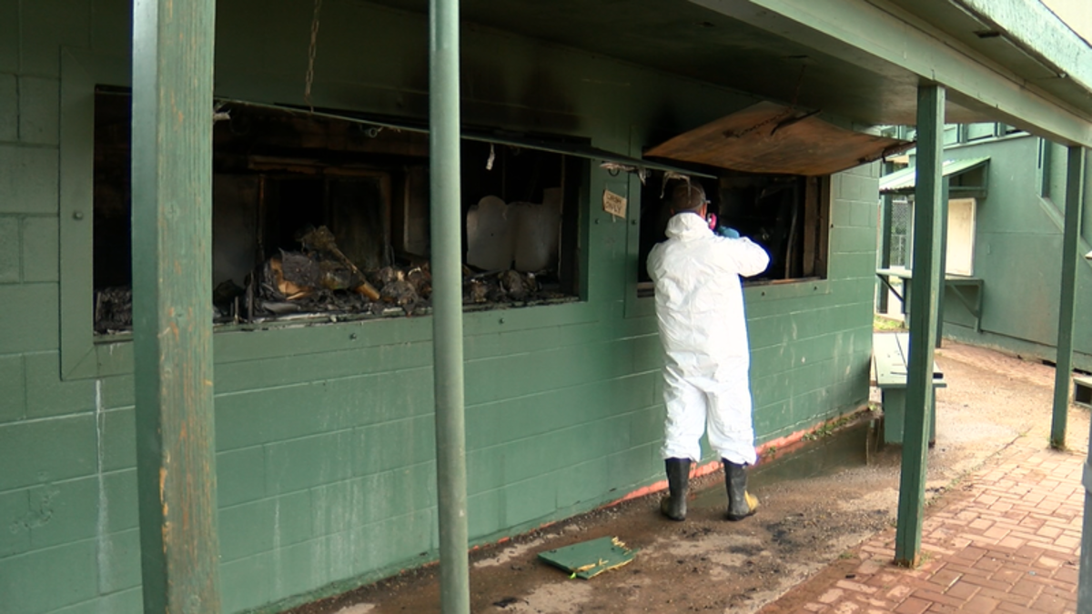 ‘It’s like losing a family member’: Reaction pours in following fire at ...