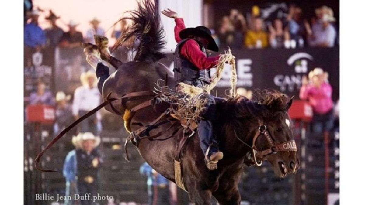 Alberta bronc rider sets new world record | rdnewsnow.com