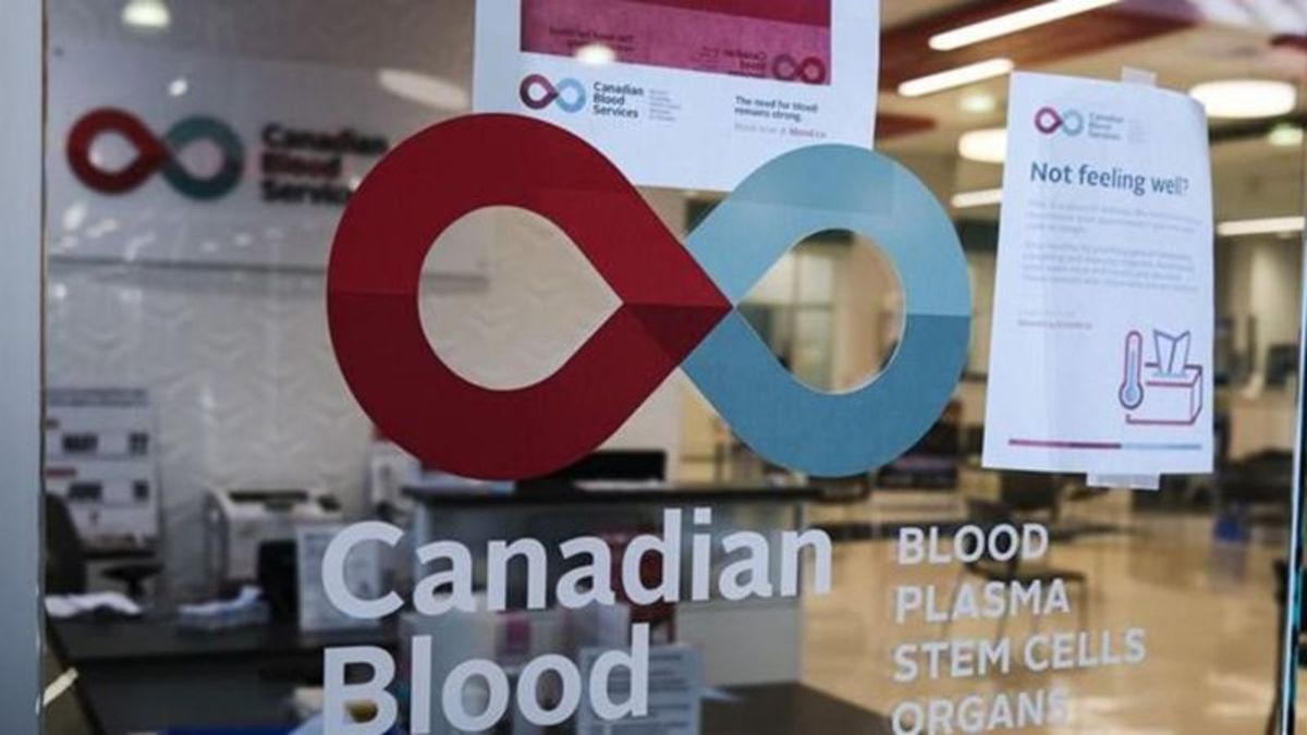 Canadian Blood Services in talks around paid donations of plasma as ...