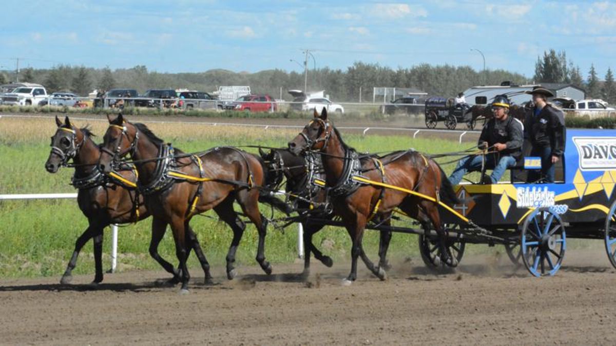 Laboucane wins big in Meadow Lake, leads heading into Lloyd Finals ...