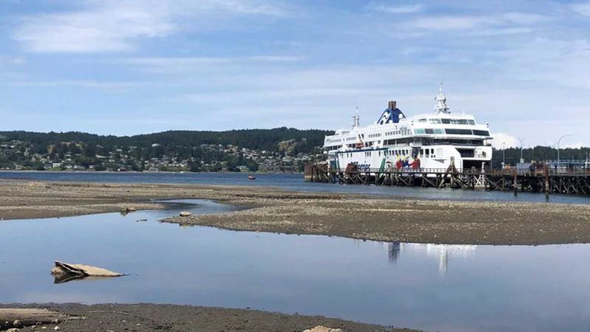 BC Ferries reports record vehicle traffic amid turbulent year ...