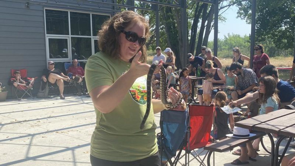 Hatters can ease fear of snakes at Police Point Park | CHAT News Today