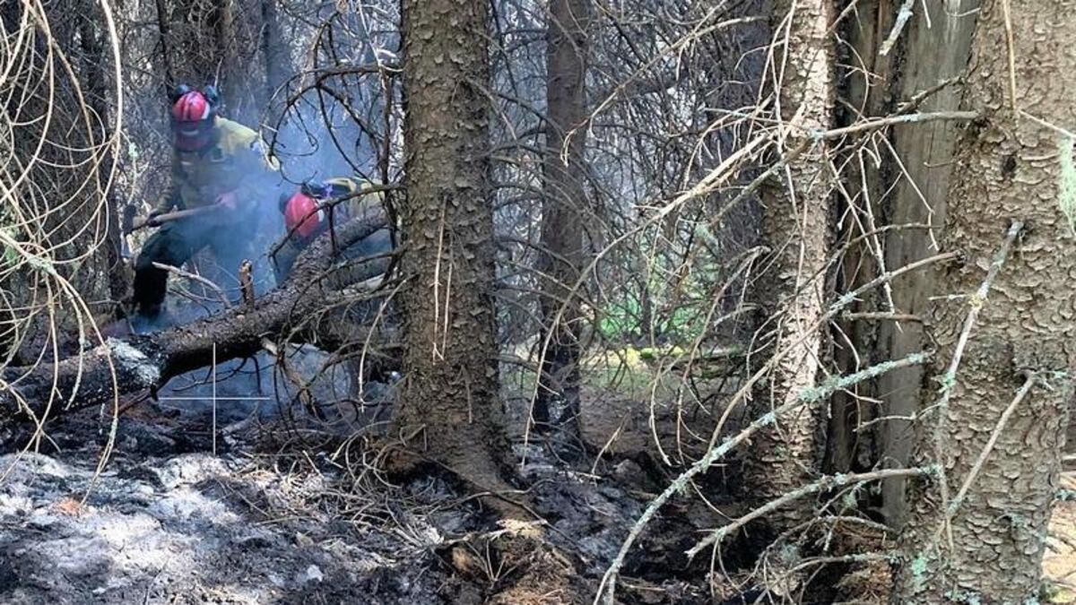Fire advisory in Grande Prairie Forest Area | EverythingGP