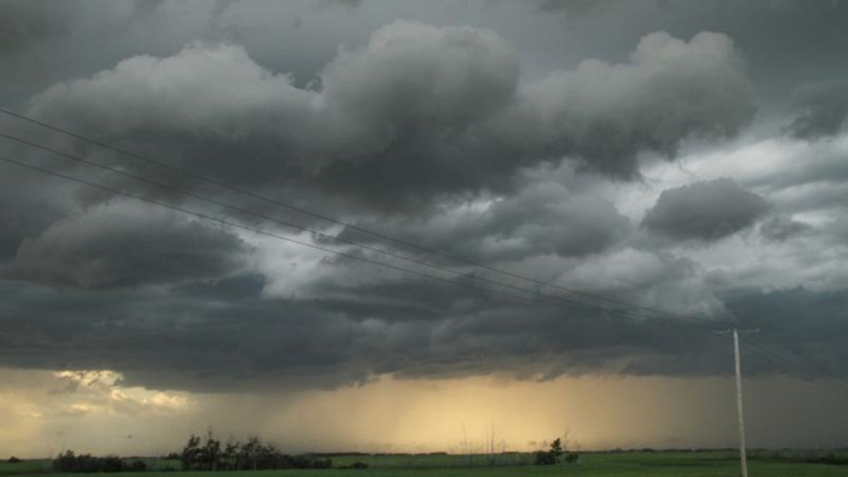Heat warnings, severe thunderstorm watches in effect for large parts of ...