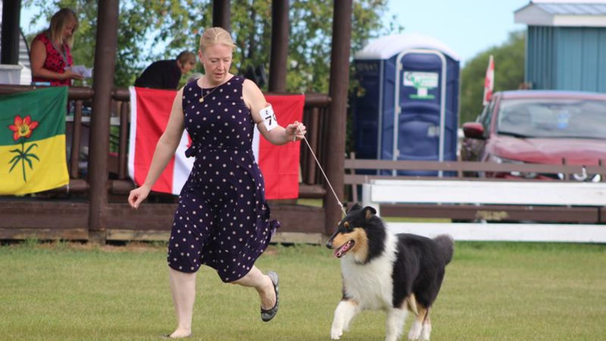 National dog show offers special treat for Prince Albert | paNOW