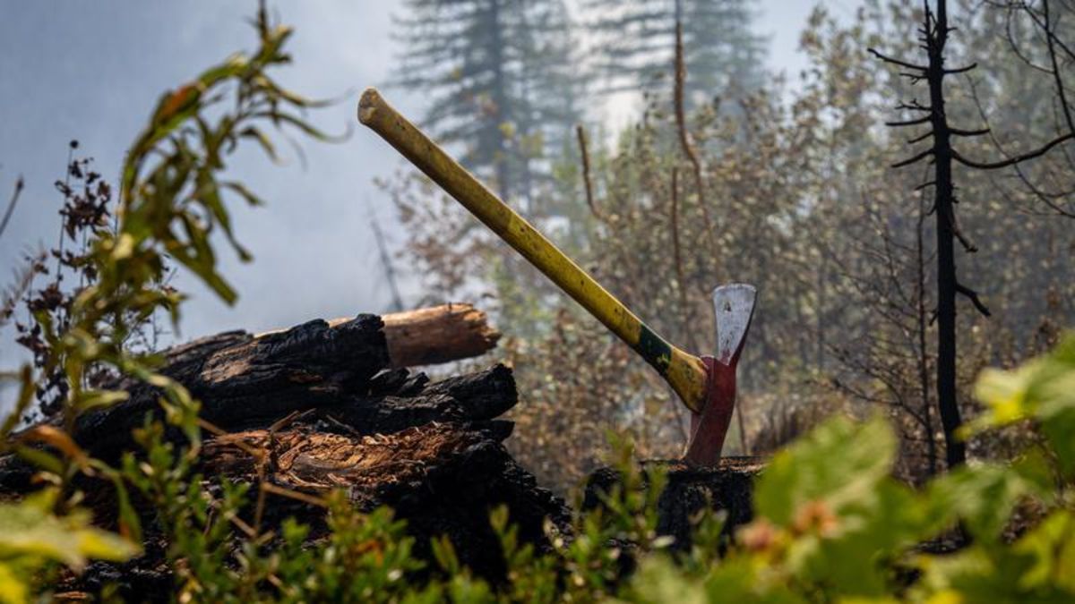 Fire season extending with special focus on Vancouver Island ...