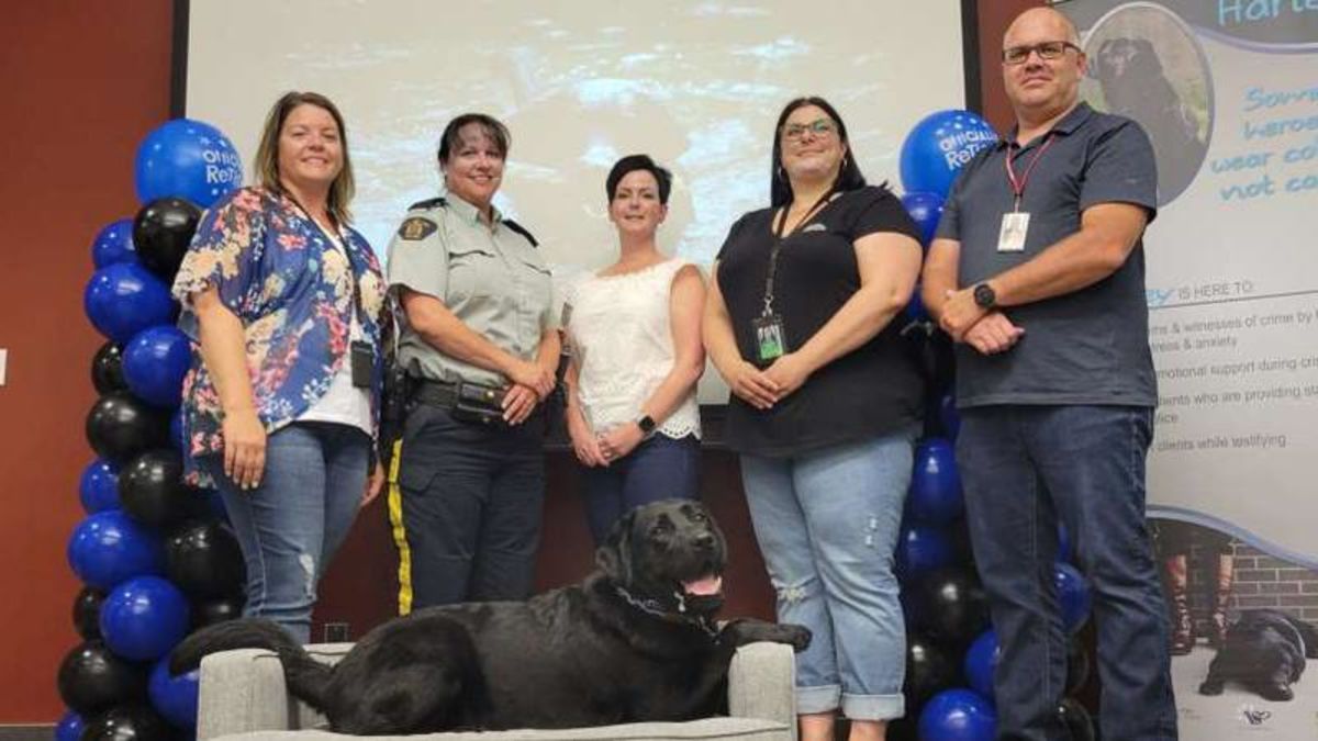 Service Dog Harley receives fond farewell from Victim Services Unit and ...
