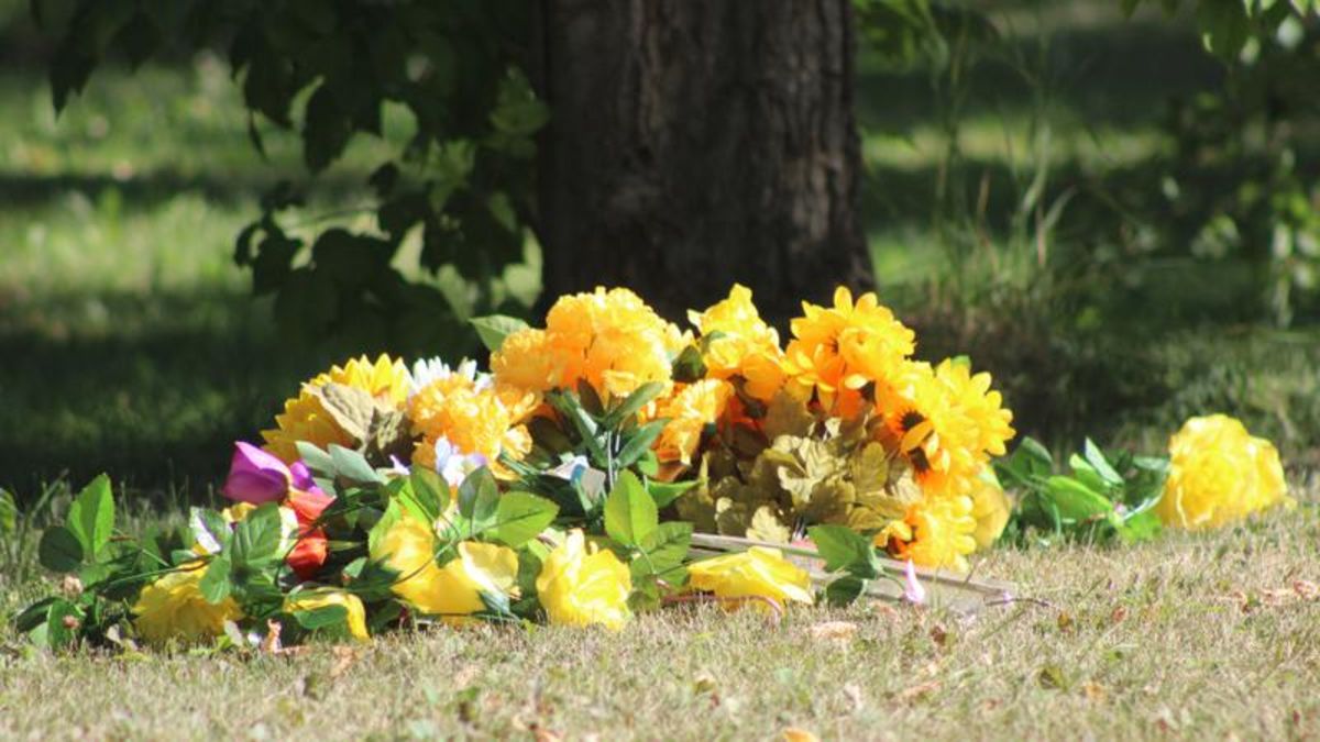 Weldon Mayor grateful for support, requests community be left alone to ...