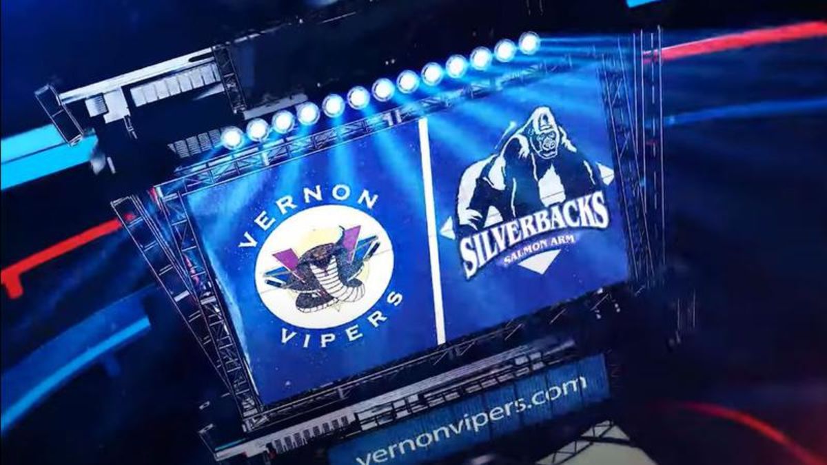 Silverbacks make it two straight over Vipers in pre-season | Vernon Matters