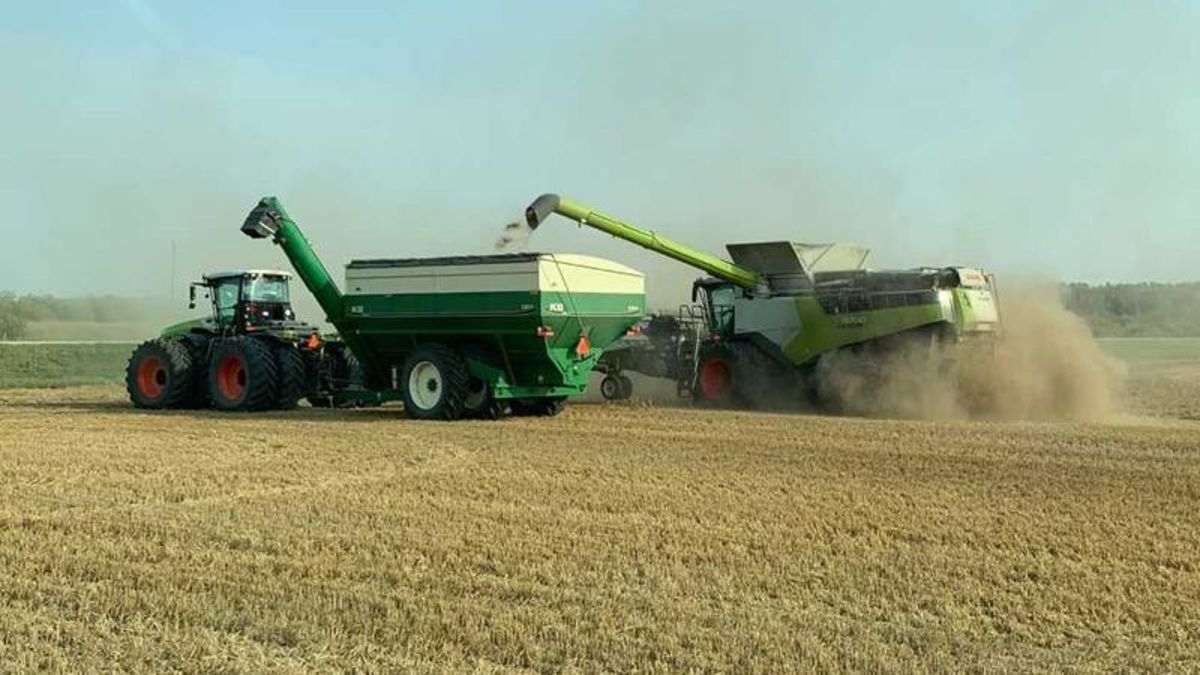 Mustangs lose ‘large chunk of land’ after field fire | northeastNOW