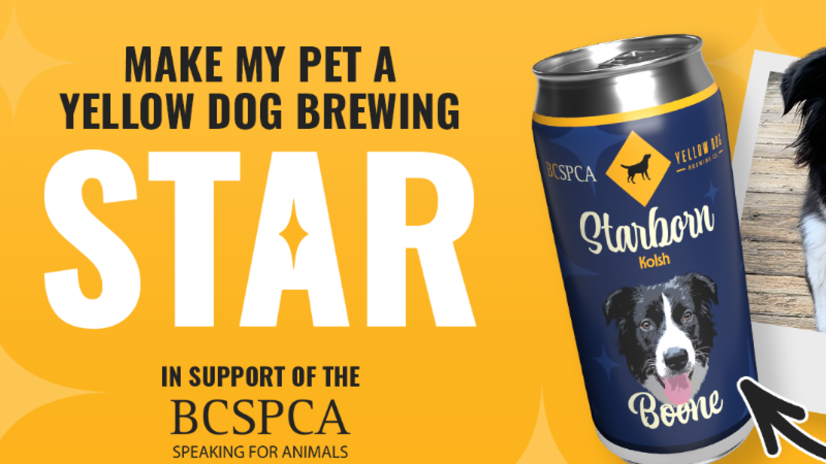 Your pet could be the cover model of a beer can | Fraser Valley Today ...