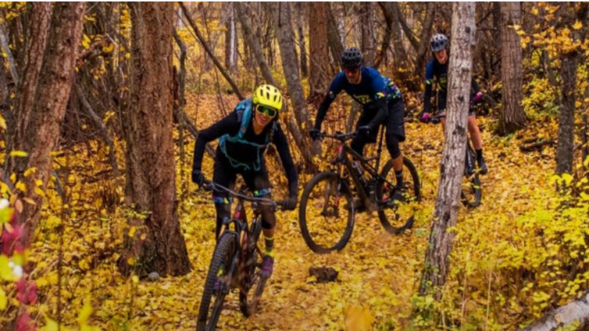 New local tourism plan could be approved this week | Vernon Matters