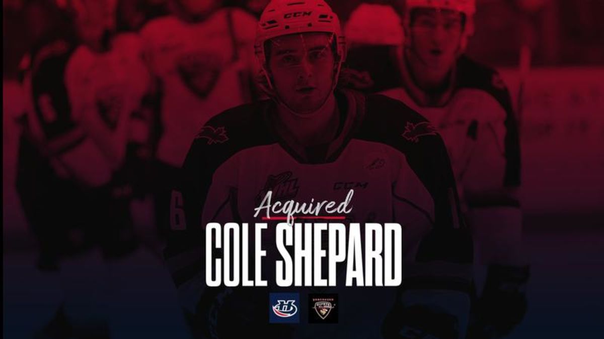 Cole Shepard acquired by Hurricanes in trade with Vancouver Giants ...