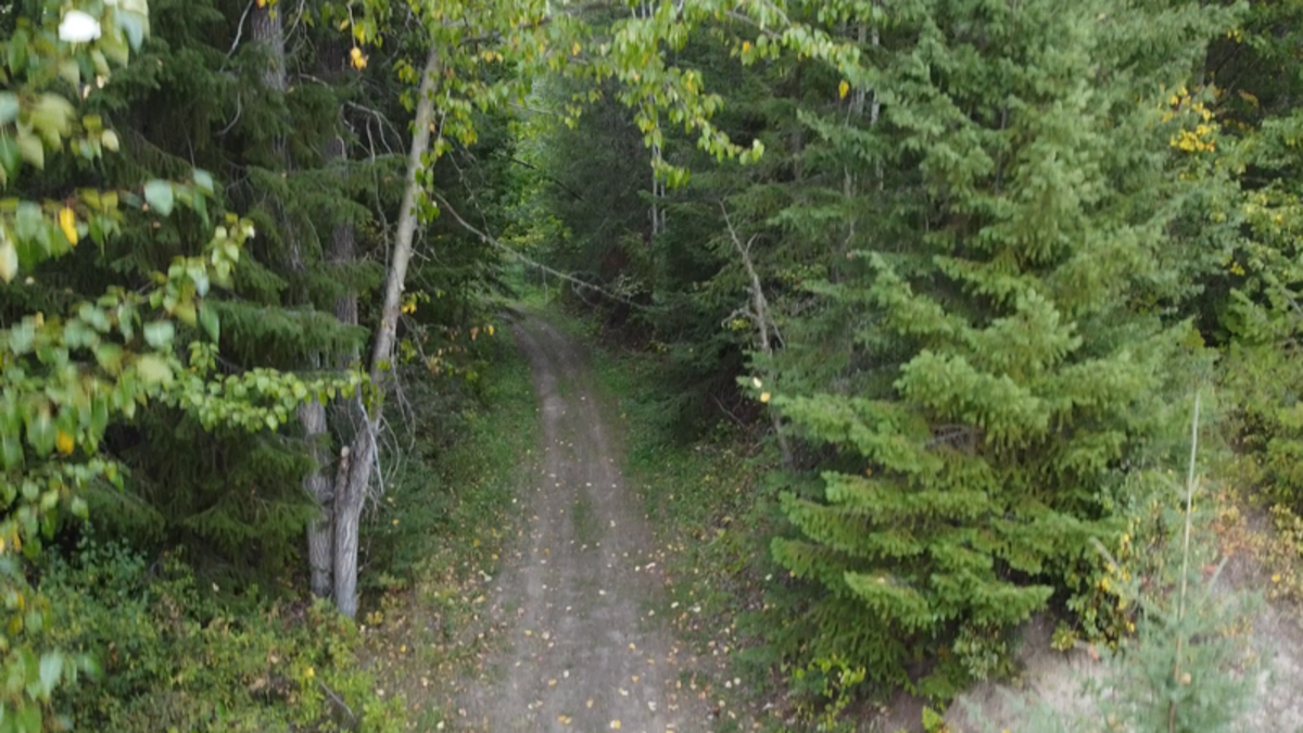 Local century old railbed transformed into a 10K hiking trail | CKPG Today