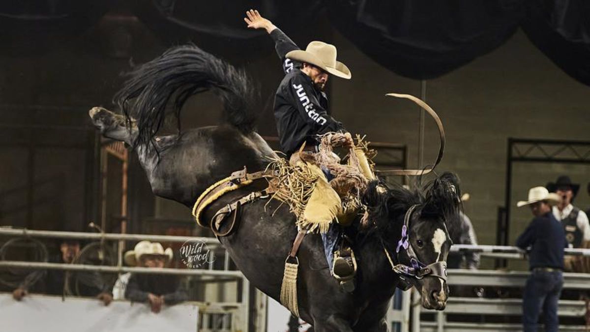 Blackfalds cowboy hitting his stride ahead of CFR | rdnewsnow.com