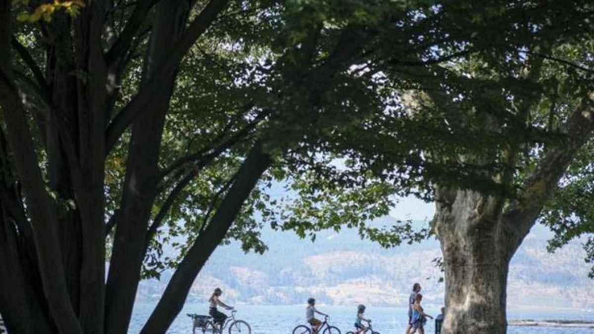 ParticipAction gives kids and youth a D for activity, F for screen time ...