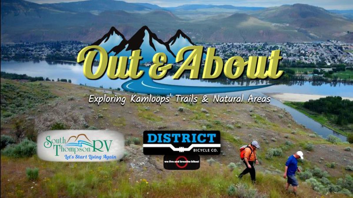 Out and About – Hike to Panorama Viewpoint | CFJC Today Kamloops