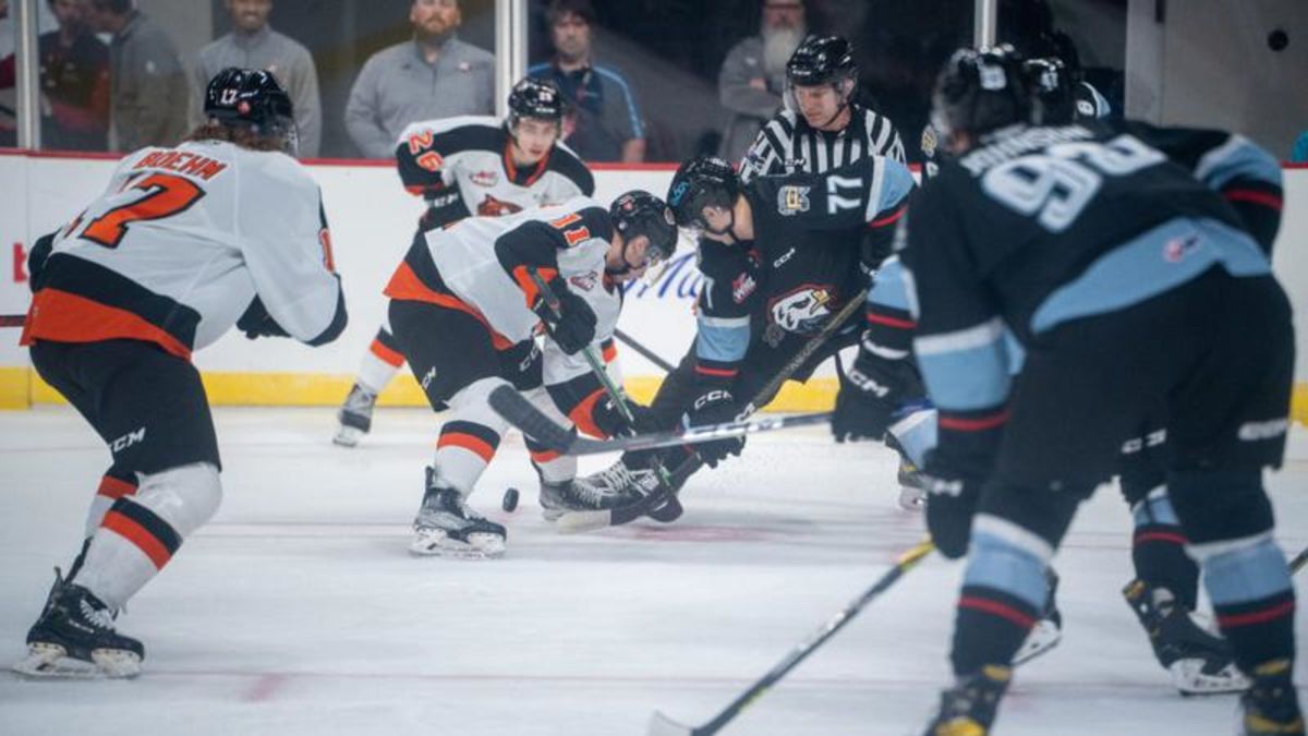 Tigers fall to Portland 4-3 in overtime | CHAT News Today