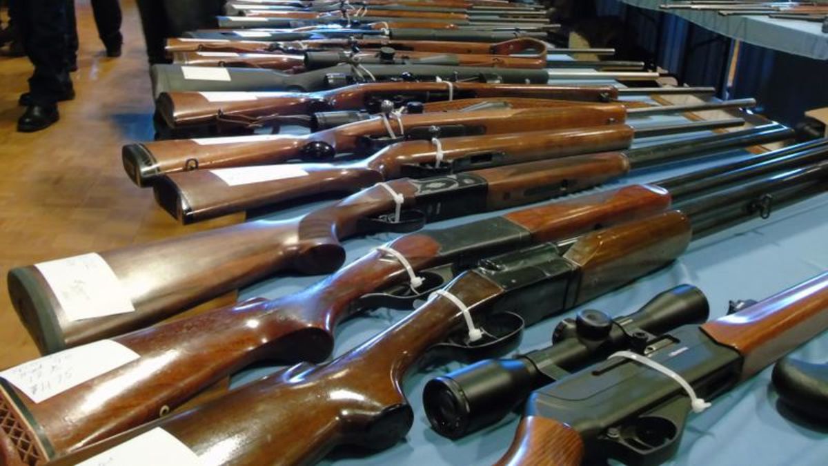 Ministers from four provinces oppose use of police resources for gun ...