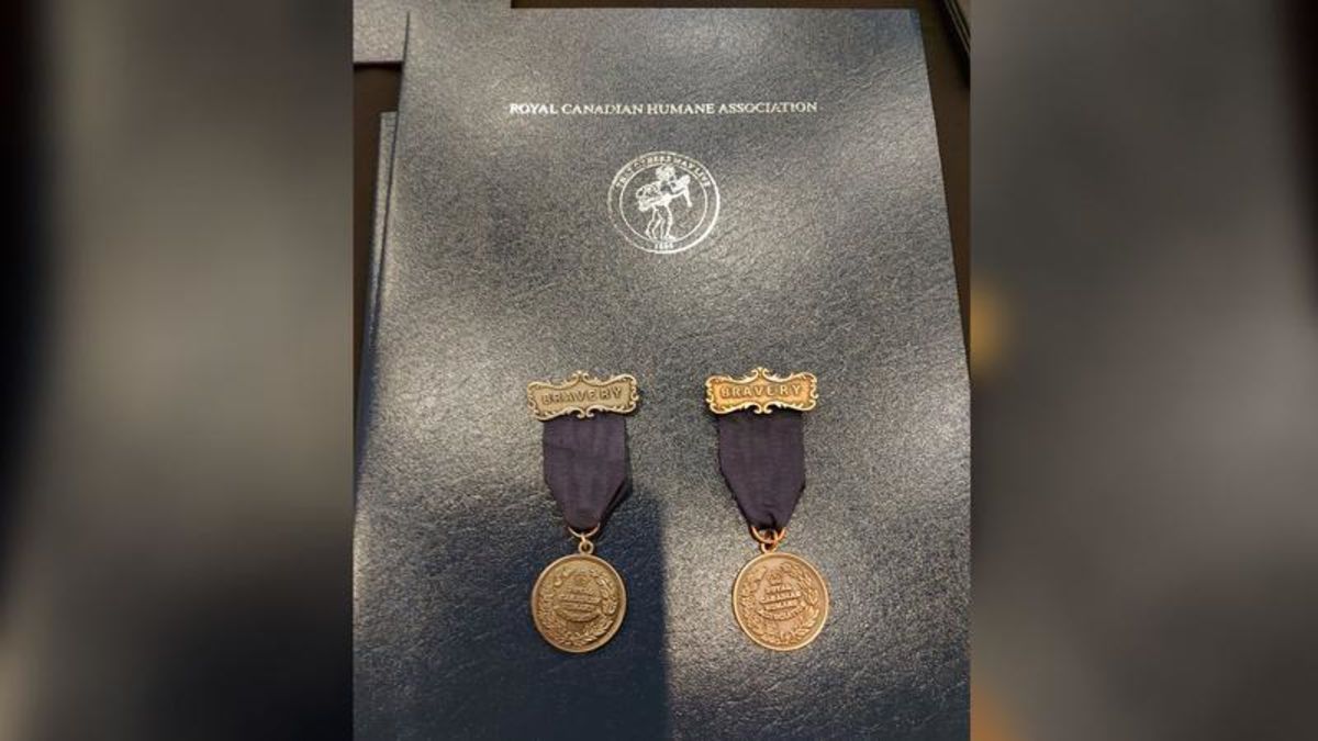 Five people from Battlefords recognized for bravery | battlefordsNOW