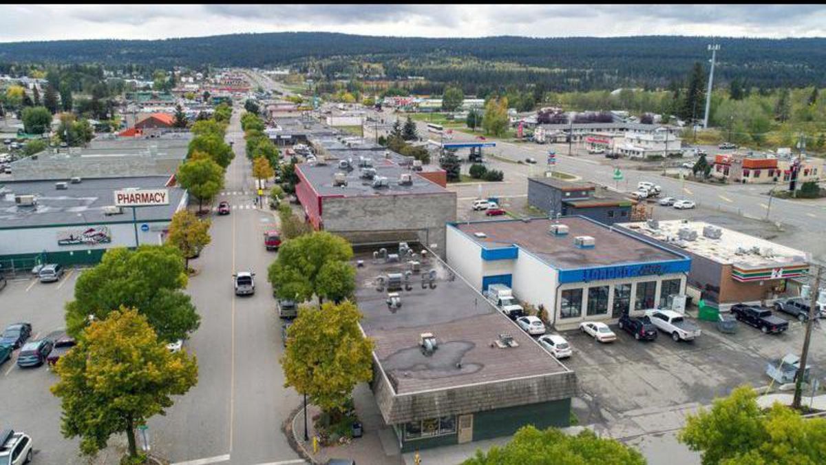 Former mayor, MLA Donna Barnett among newcomers elected to 100 Mile ...