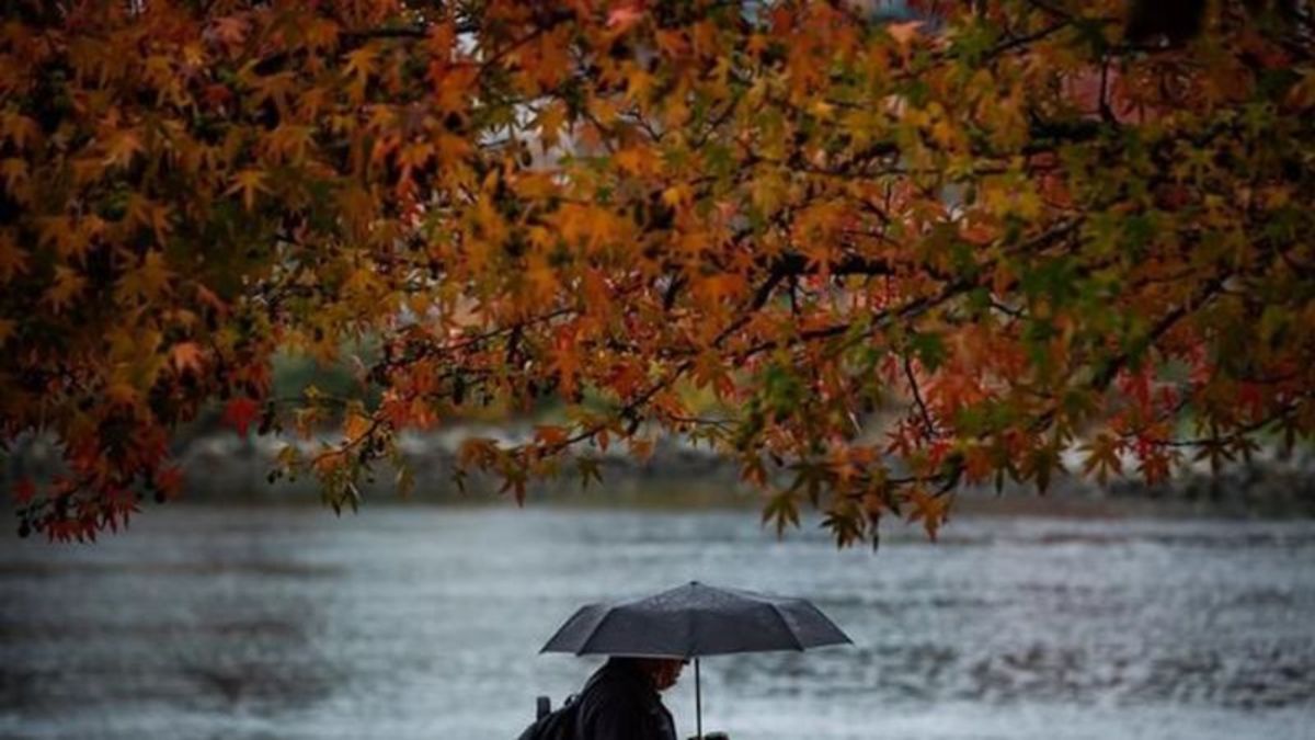 At last, rain in Vancouver and elsewhere, but much more needed to break B.C. drought | paNOW