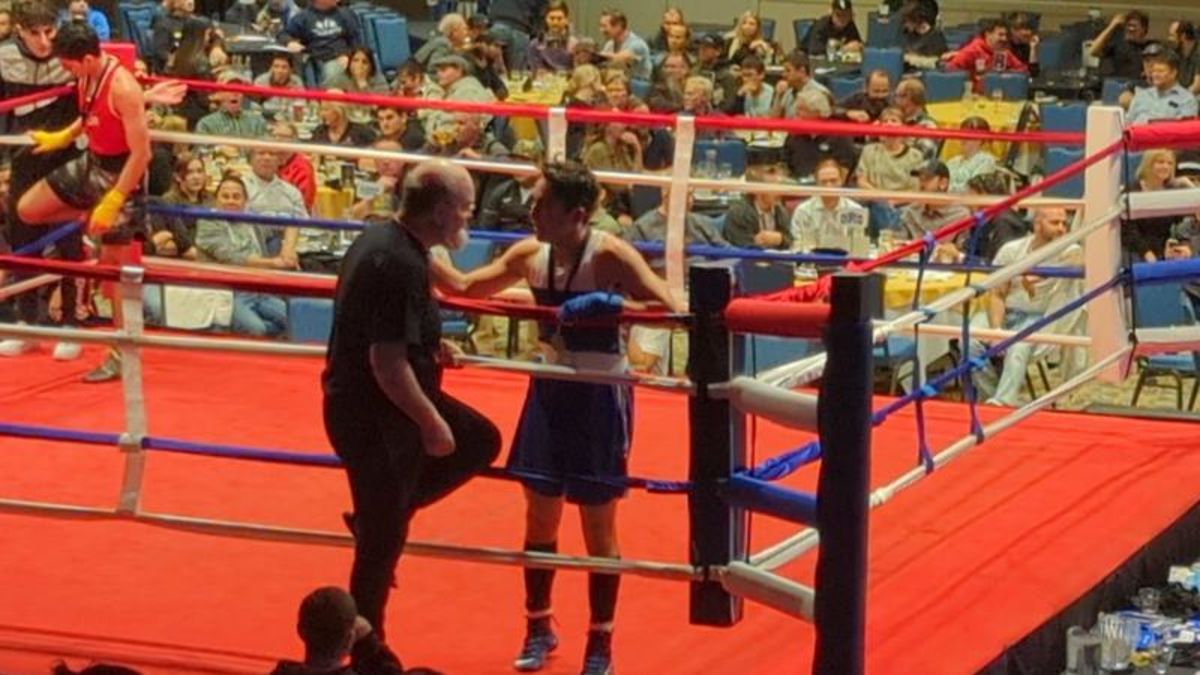 Prince Albert boxers put on show in Saskatoon | paNOW